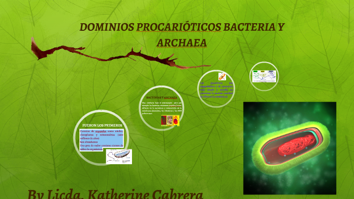 DOMINIOS PROCARIÓTICOS by Katherine Cabrera on Prezi