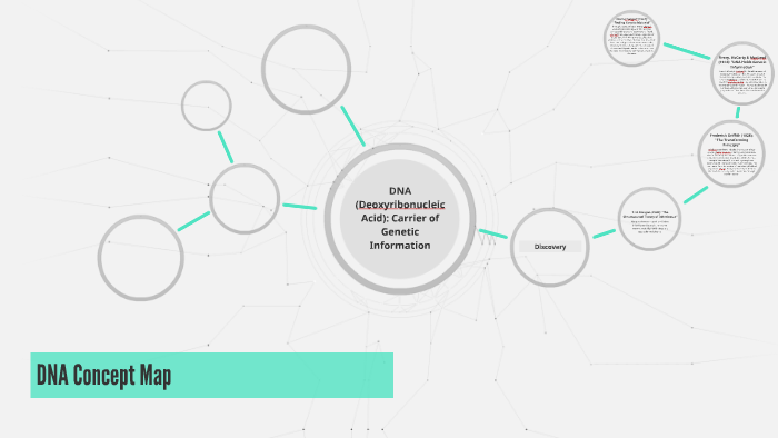 DNA Concept Map by Christine Nguyen on Prezi