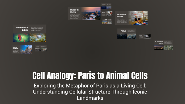 Cell Analogy: Paris to Animal Cells by NN NN on Prezi