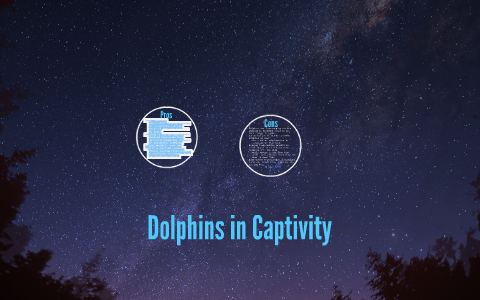 Dolphins in Captivity by on Prezi