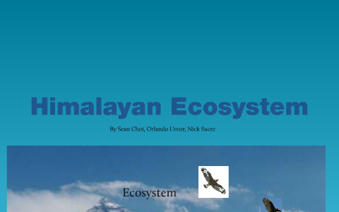 Himalayas Ecosystem by Nicolas Sucre on Prezi