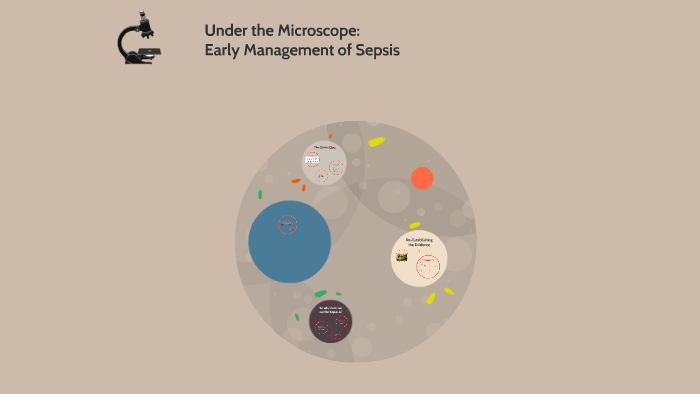 Under the Microscope: Early Management of Sepsis by Lance Ng on Prezi