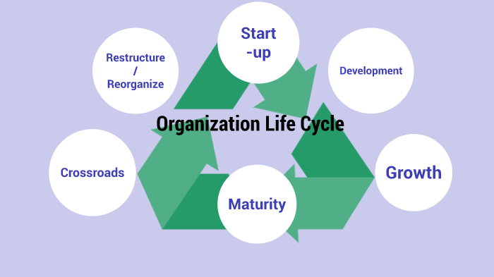 Org Life Cycle by Tim Kubatzky on Prezi