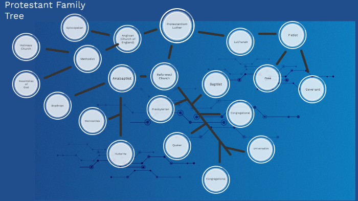 Protestantism Family Tree by Eli Steiner on Prezi
