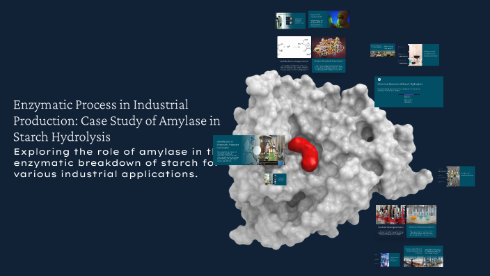 Enzymatic Process in Industrial Production: Case Study of Amylase in ...
