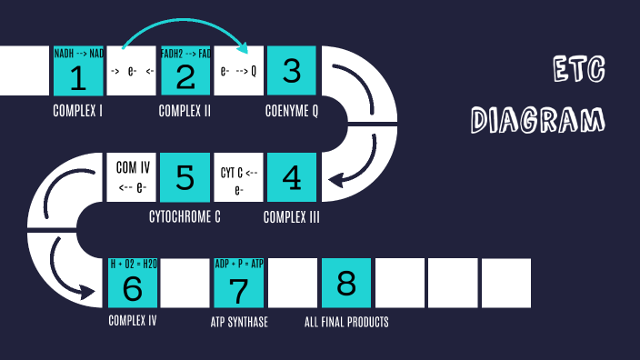 ETC Diagram by Treasure Blake on Prezi