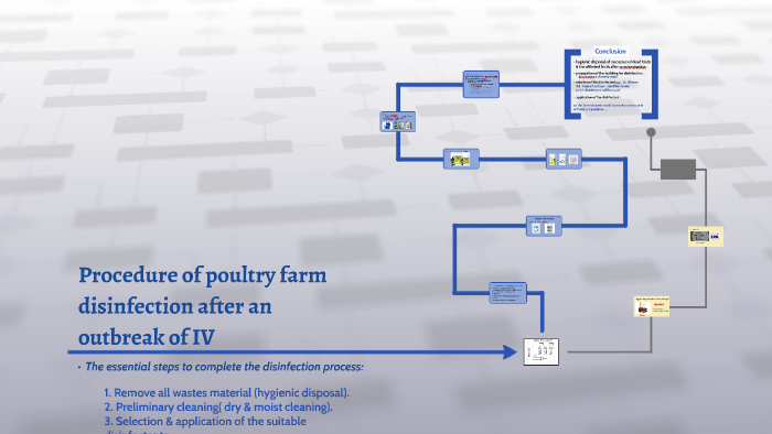 procedure of poultry farm disinfection after an outbreak of by Radwa ...