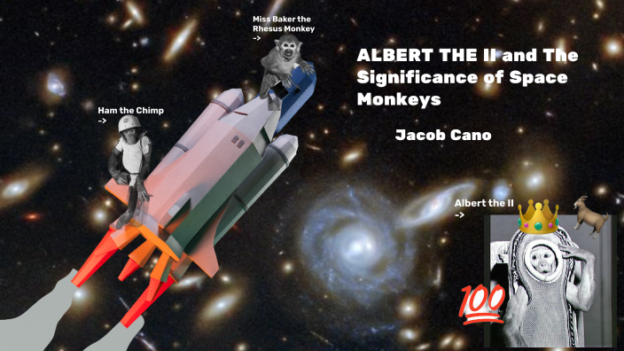 Albert the II (Monkey) by jacob on Prezi