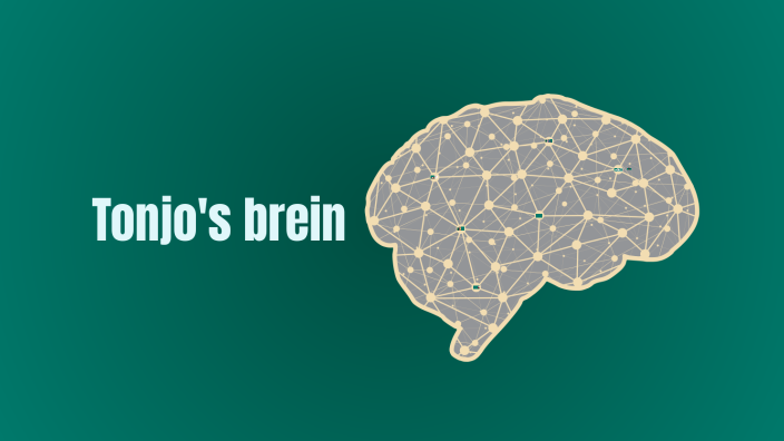 Tonjo's brein by Femke Assink on Prezi