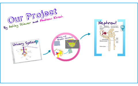 PEE!!!! by Madison Kirsch on Prezi