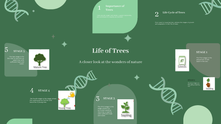 Life of Trees by Esra Yıldırım on Prezi