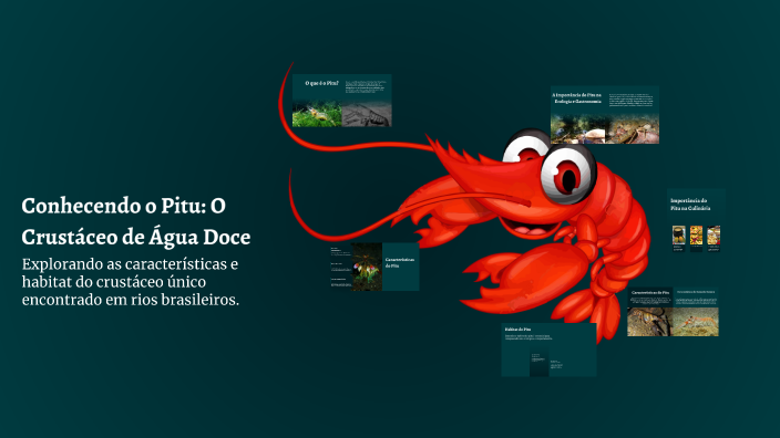 Conhecendo o Pitu: O Crustáceo de Água Doce by Maria Júlia nascimento ...