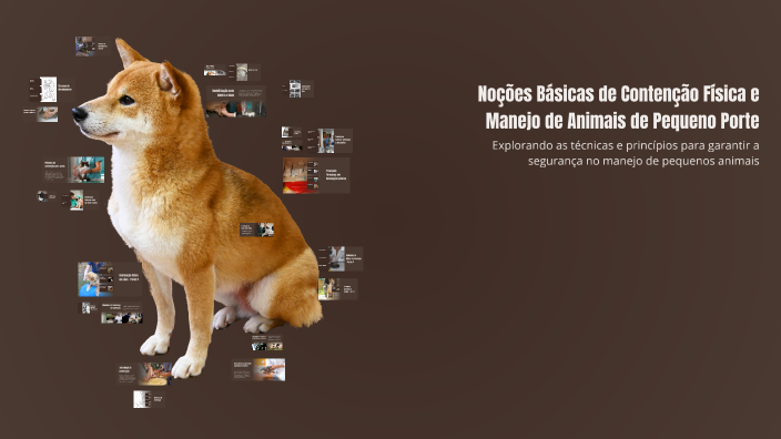 Noções Básicas de Contenção Física e Manejo de Animais de Pequeno Porte ...