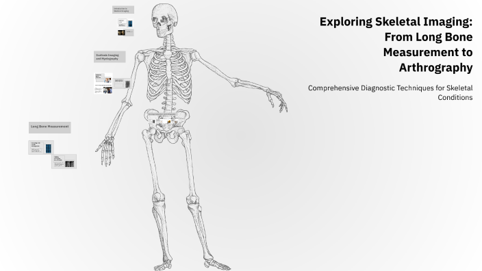 Exploring Skeletal Imaging: From Long Bone Measurement to Arthrography ...