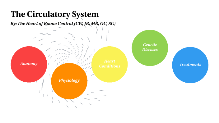 Circulatory System by Shalee Grape on Prezi