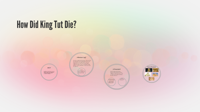 How Did King Tut Died? by Amelie Martin on Prezi