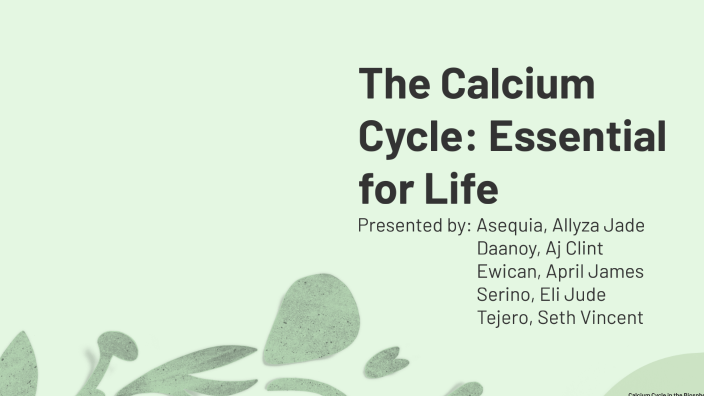 The Calcium Cycle: Essential for Life by Ewican April James on Prezi
