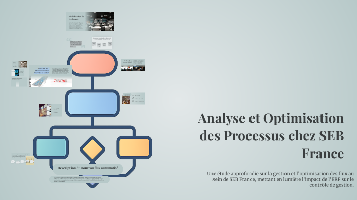 Analyse et Optimisation des Processus chez SEB France by EVE LISETTE ...