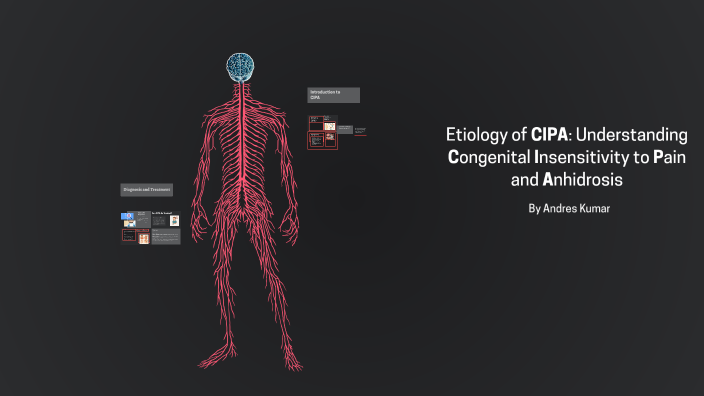 Etiology of CIPA: Understanding Congenital Insensitivity to Pain by ...