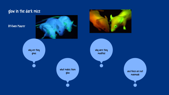 Glow in the dark mice by Owen Maurer on Prezi