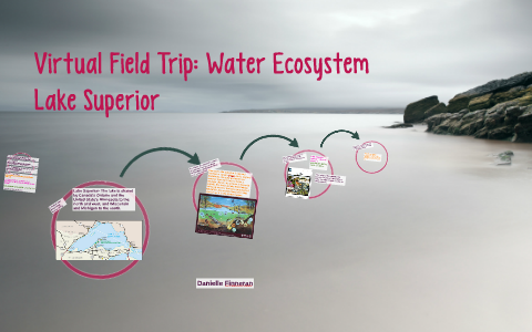 Virtual Field Trip: Water Ecosystem by Danielle Finneran on Prezi