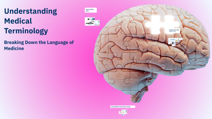 Understanding Medical Terminology by Ashley Botello on Prezi