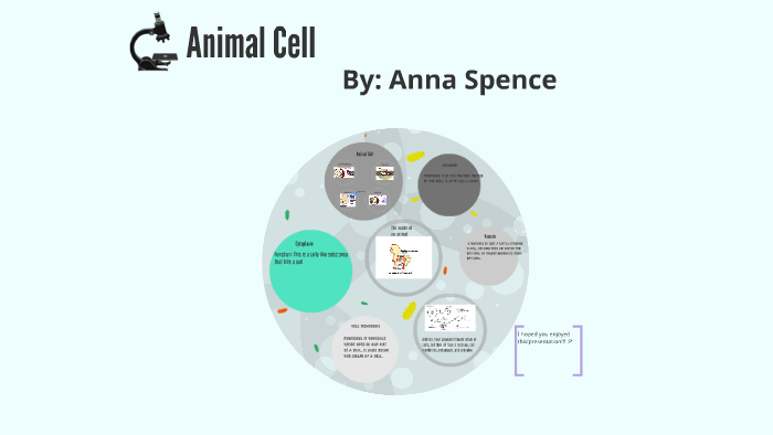 Animal Cell by Anna Spence on Prezi