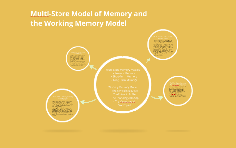 Multi-Store Model of Memory and the Working Memory Model by Nicole ...