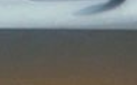 PUMS- Clinical examination- how to learn and improve quicker by Stevan ...