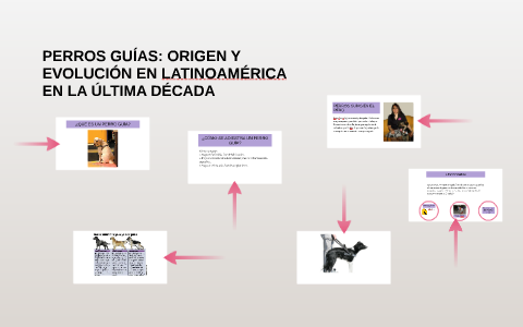 PERROS GUÍAS: ORIGEN Y EVOLUCIÓN EN LATINOAMÉRICA EN LA ÚLTI by Anghela ...