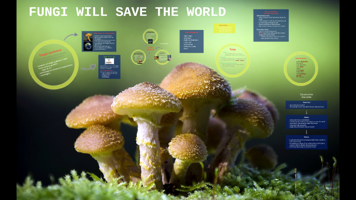 The Benefits of FUNGI by Monica Nguyen on Prezi