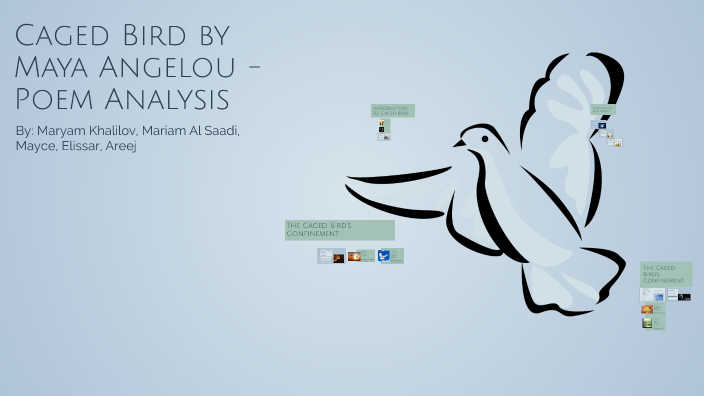 Caged Bird by Maya Angelou - Poem Analysis by Elissar Hanna on Prezi