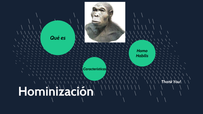 homo habilis by Joaquin Izaguirre on Prezi