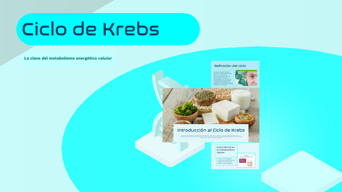 Ciclo de Krebs by Miguel Solis Soto on Prezi