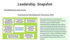 Leader Snapshot by Estrella Carrasco Villadoma on Prezi Design