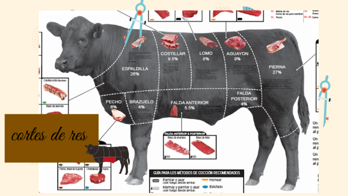 partes de la res by Madelin Gomez on Prezi