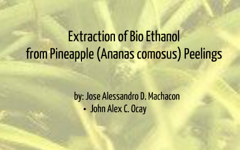 Extraction of Bio Ethanol from Pre-treated Pineapple (Ananas comosus ...