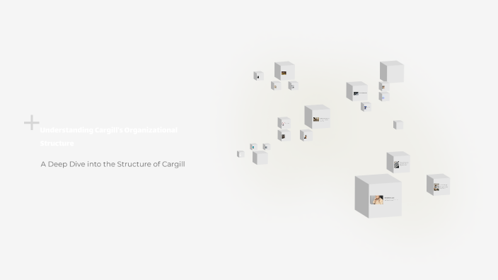 Understanding Cargill's Organizational Structure by methmi panchali on ...