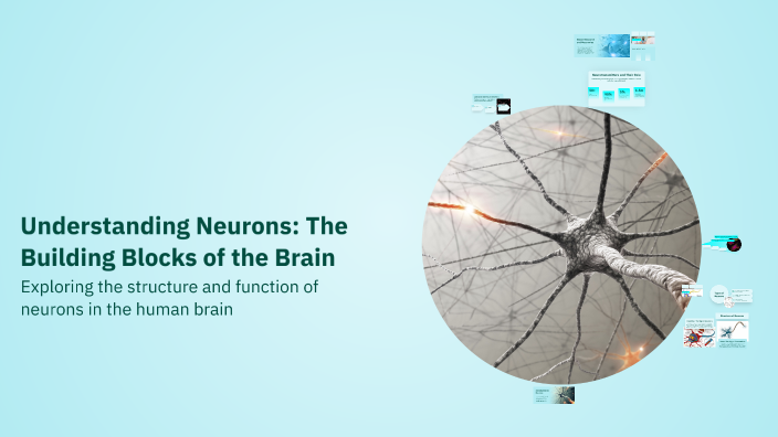 Understanding Neurons: The Building Blocks of the Brain by MIKE TUCKER ...