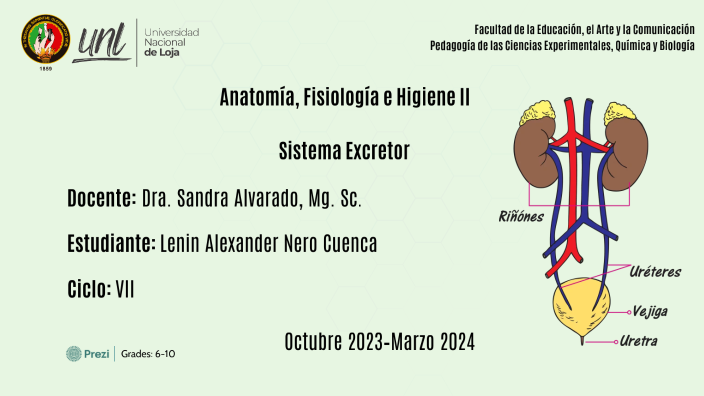 Sistema Excretor by Lenin Alexander Nero Cuenca on Prezi