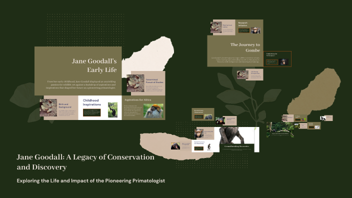 Jane Goodall: A Legacy of Conservation by Diana Stef on Prezi