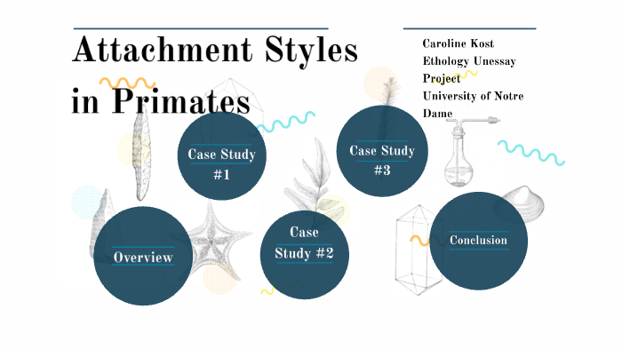 Attachment Styles in Primates by Caroline Kost on Prezi