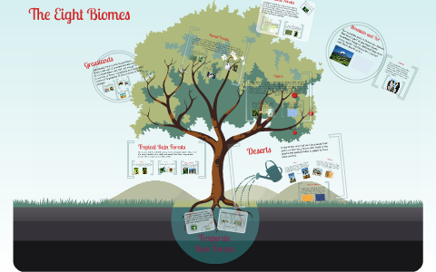 The Five Biomes by Angela Partusch