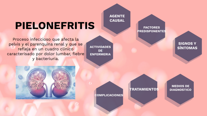 PIELONEFRITIS by Yamileth Cuaspa on Prezi