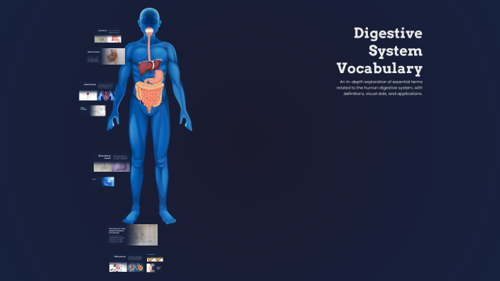 Digestive System Vocabulary by Tyler Brown on Prezi