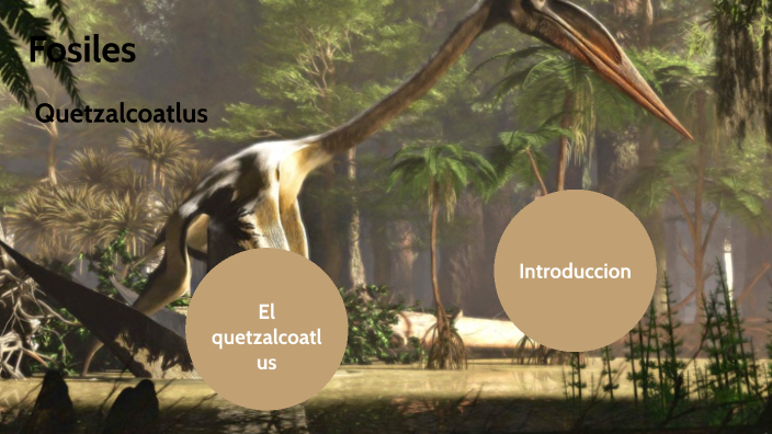 Fósil del Quetzalcóatl by Luján Arévalo on Prezi