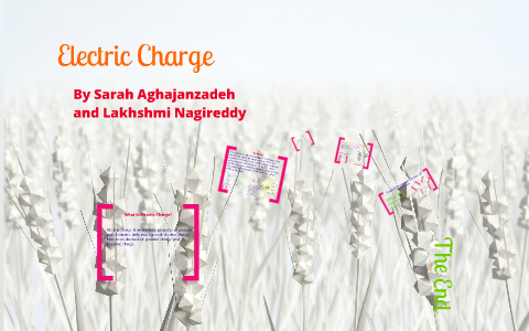 Electric Charge by Physics Project on Prezi