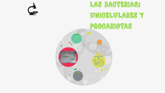 LAS BACTERIAS: UNICELULARES Y PROCARIOTAS by fernando blas on Prezi