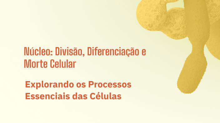 Núcleo Divisão Diferenciação E Morte Celular By Antonia Lima Lima On