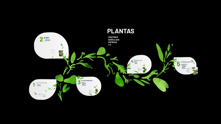 EL MUNDO DE LAS PLANTAS by yo tu on Prezi